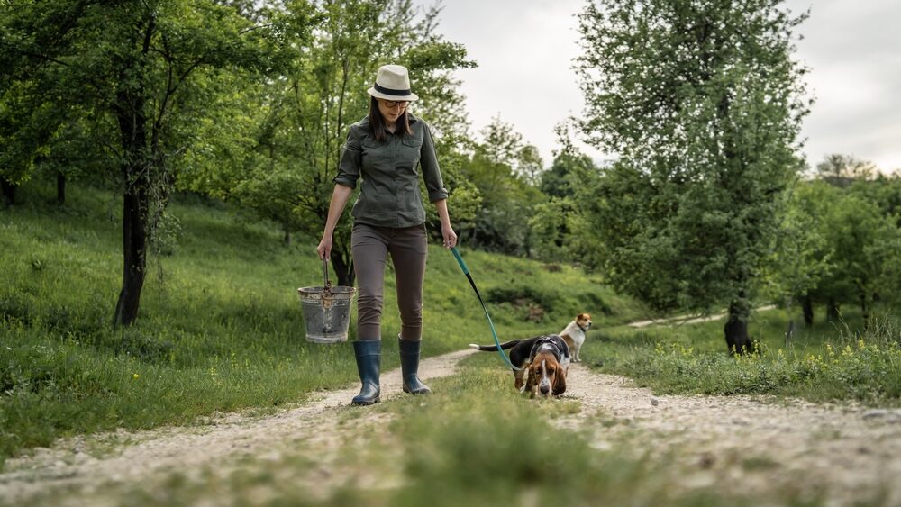 Learn How to Walk a Dog: Lets get Moving, Part 4 | The Human Dog Team